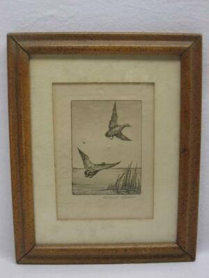Richardson Rome Duck Etching Antique Framed Print Old Vtg Colorado ...
