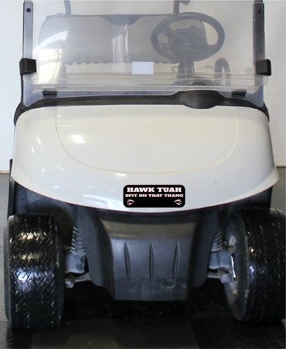 Hawk Tuah EZGO Golf Cart Name Plate. Fits 08-22 RXV TXT Valor Terrain ...