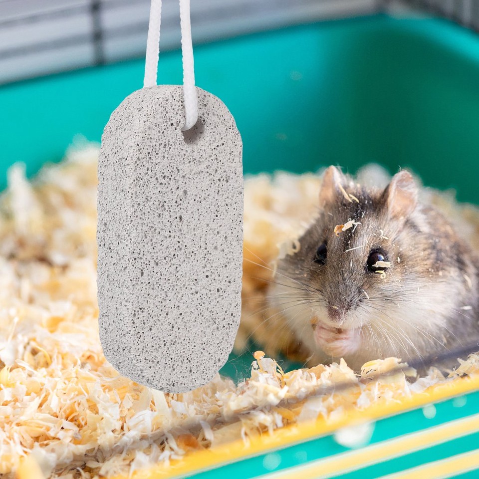 2 Pcs Molar Stone Bridegroom Rat Mineral Pet Molars Animal Teeth ...