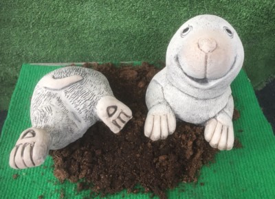 Pop Up Mole And Bottom - Garden Ornament - Hand Cast | eBay UK