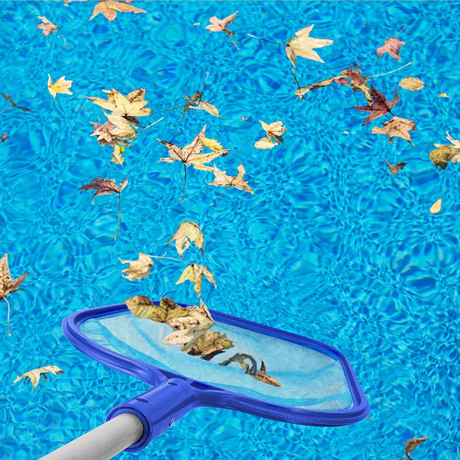 Pool Bowl with Telescope Bar Pool Keeper Pool Cleaning Skimmer 654170091124 | eBay