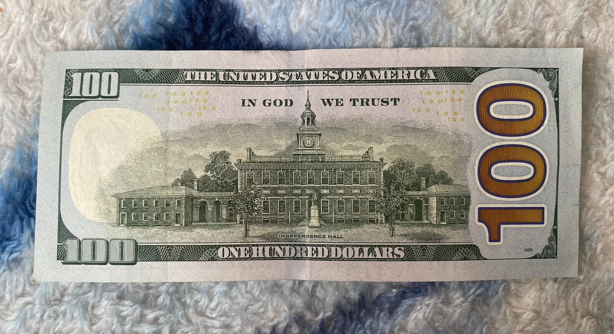 $100 Bill Back