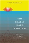 The Really Hard Problem: Meaning in a Material World (MIT Press) - GOOD ...