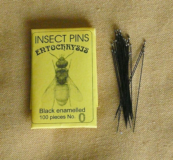 Entochrysis black mounting insect pins 100 pcs size 0 entomology ...
