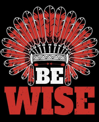 Be Wise Native American Sticker Decal | eBay