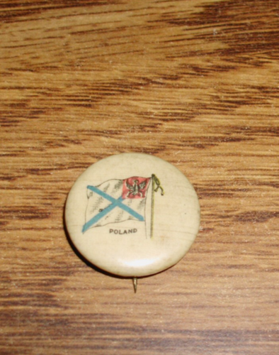 VINTAGE PIN AMERICAN PEPSIN GUN CO FLAG POLAND 052525 | eBay