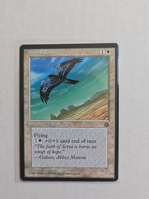 Mesa Falcon (Art A) - Homelands - MP - MTG Magic - Common - Creature | eBay