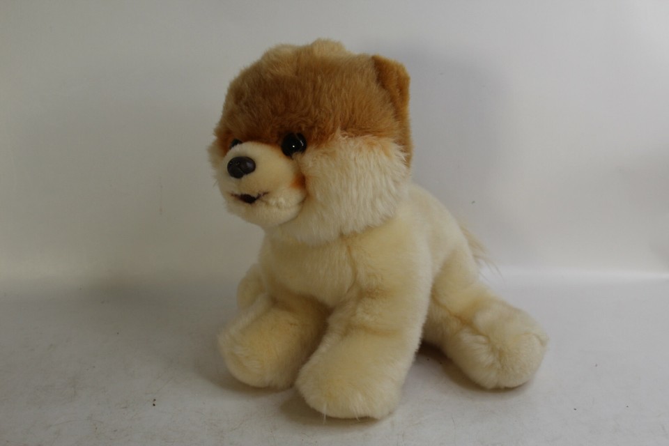 Gund Boo The World's Cutest Dog 9" Pomeranian Plush Toy | eBay