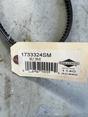 Genuine Briggs & Stratton 1733324SM DRIVE BELT for Snowblower | eBay