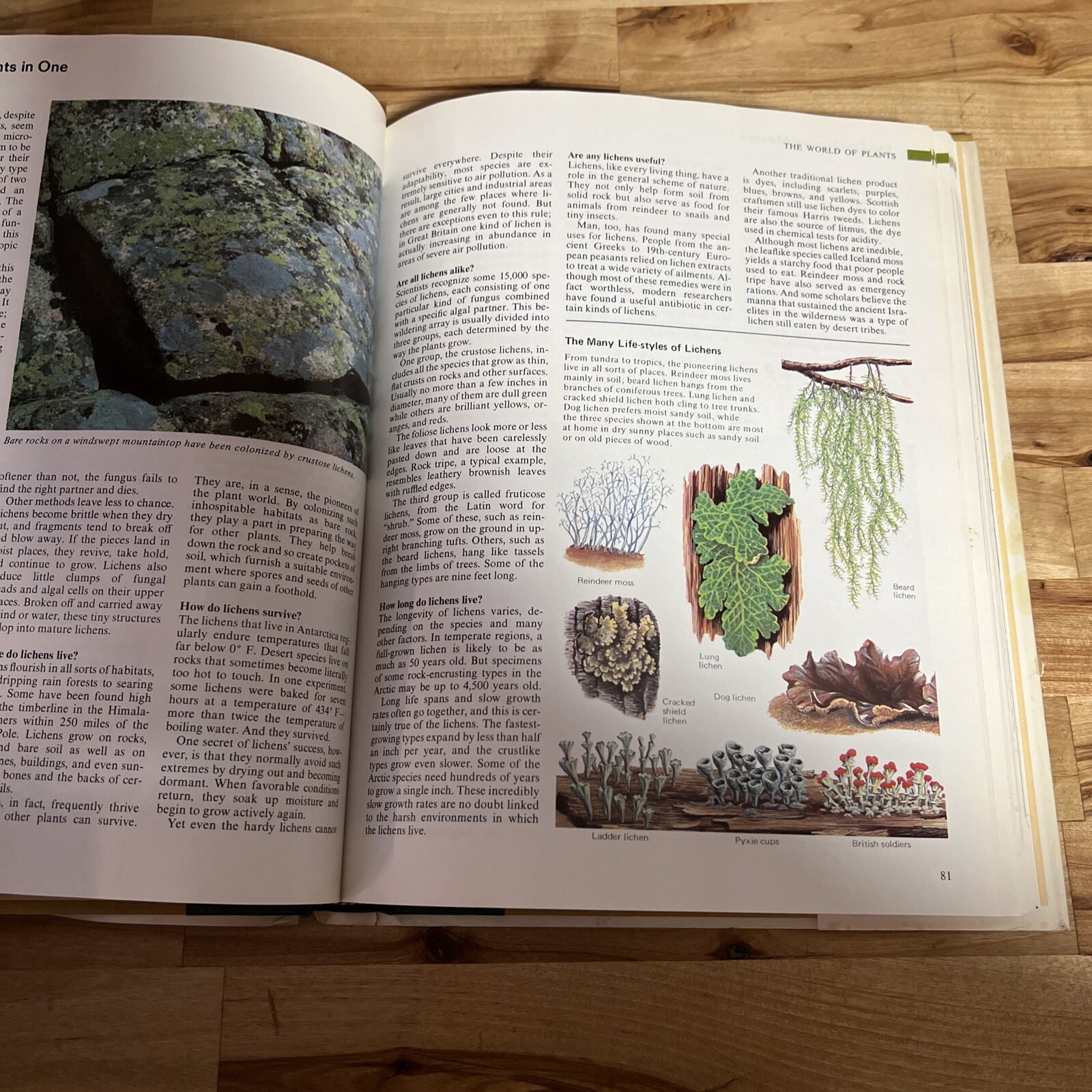 ABC's of Nature: A Family Answer Book (Reader's Digest Editors,1984 ...