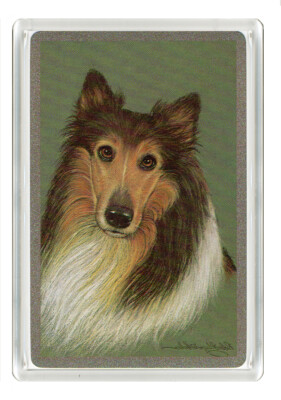 FRIDGE MAGNET BEAUTIFUL VINTAGE DOG PLAYING CARD COLLIE HEAD STUDY ...
