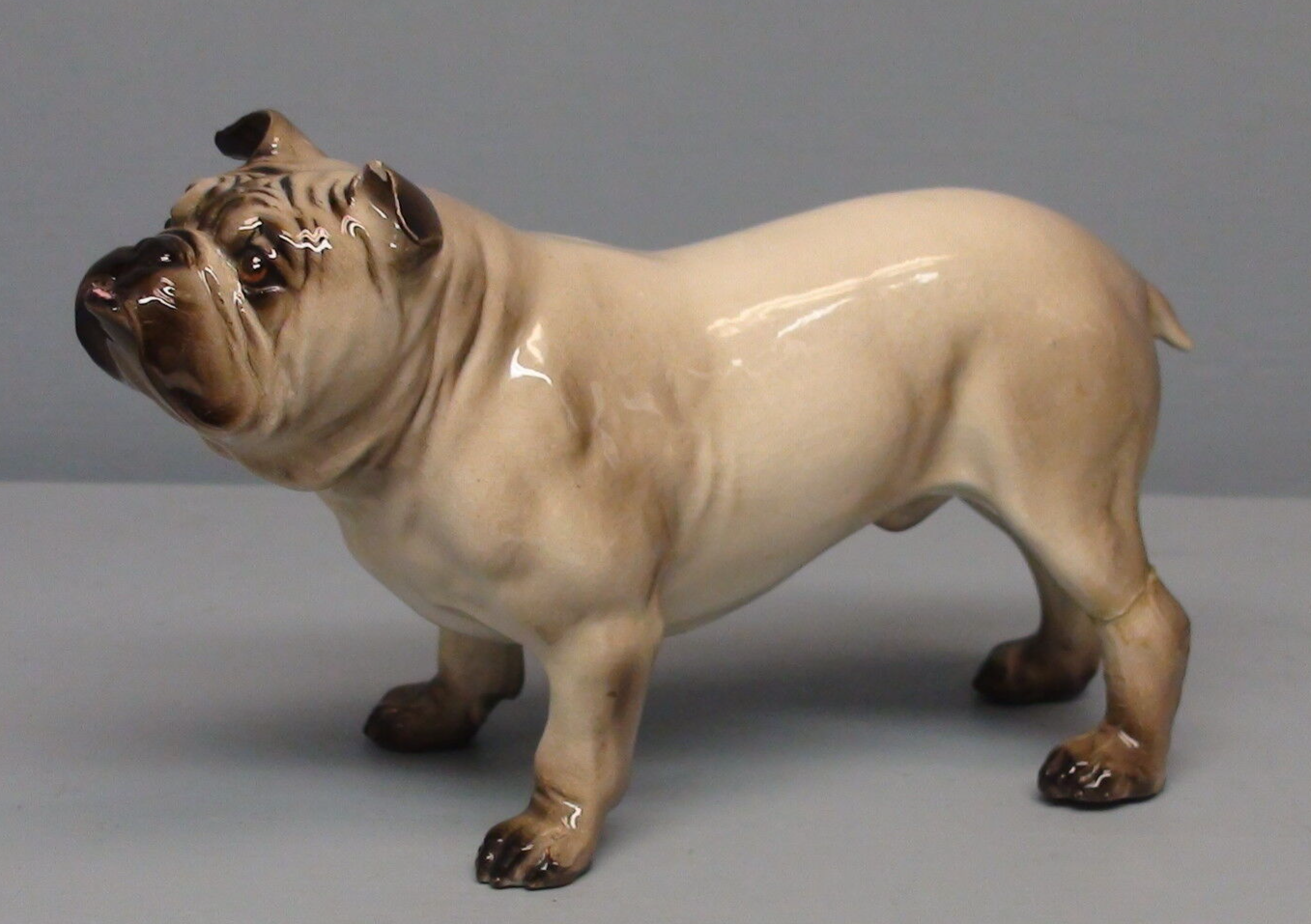 Gorgeous Test Color Hagen Renaker DW English Bulldog Winston Maxine ...