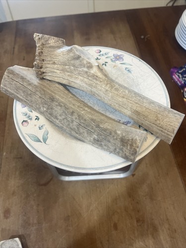 2 Large Split Prime Chews Elk Antler Dog Chew ONE FULL POUND *B | eBay