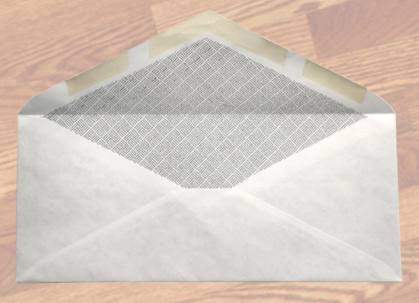 10ct Security Envelopes [4 1/8" x 9 1/2"] Confidential Letters ...