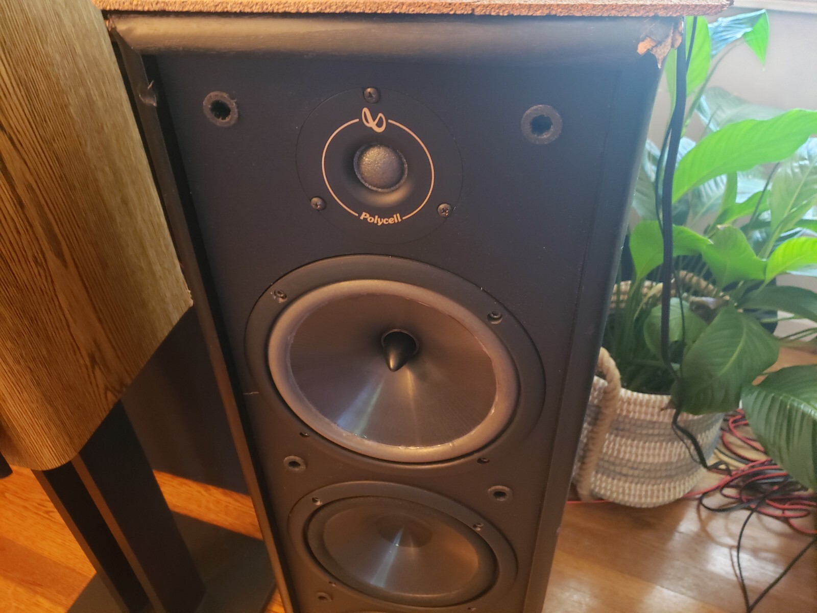 Infinity RS-625 speakers. Refoamed. Perfect Working Condition. All ...