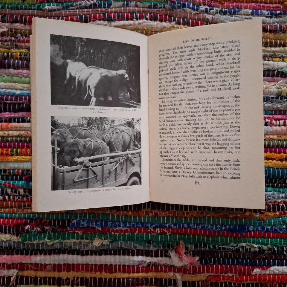 Reade, Elephant Hunter by P.D. Stracey, 1967 Robert Hale Hardcover #L2 ...