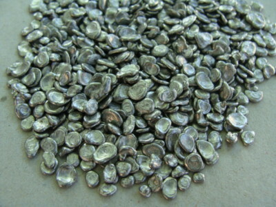 150g Alloy Rose, Rose's metal, Roses metal (Lead, Bismuth, Tin alloy ...