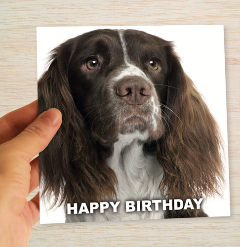 Spaniel Birthday Card English Springer Spaniel Dog Dad Son Husband Mum ...