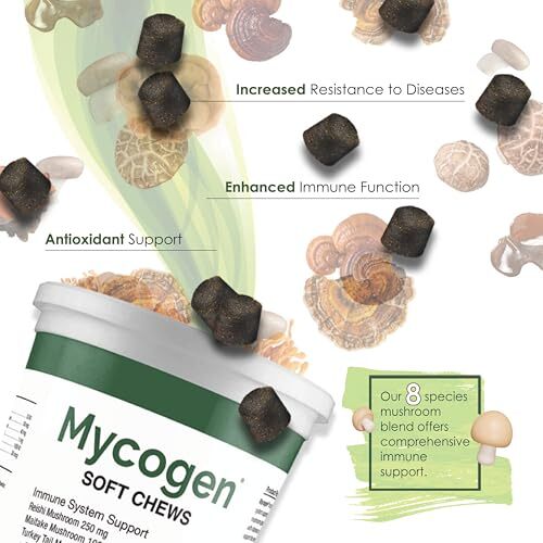 Mycogen Soft Chew for Dogs - 8 Species Mushroom Blend for Critical ...