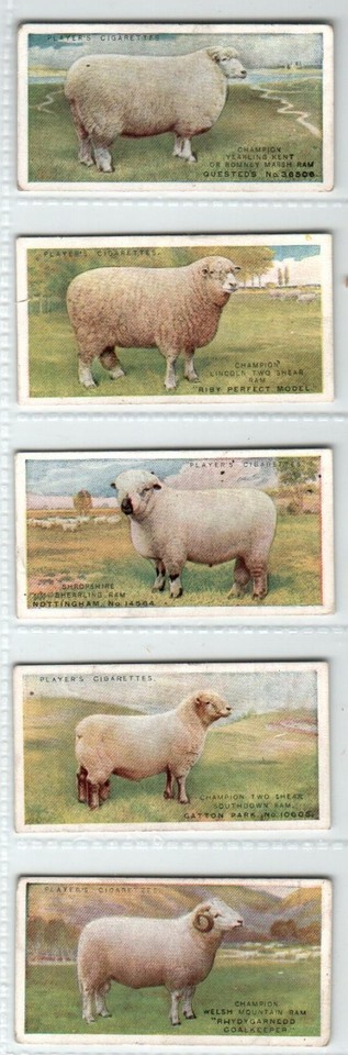 PLAYERS: British Live Stock 1915 Full Set 25 Cigarette Cards | eBay UK