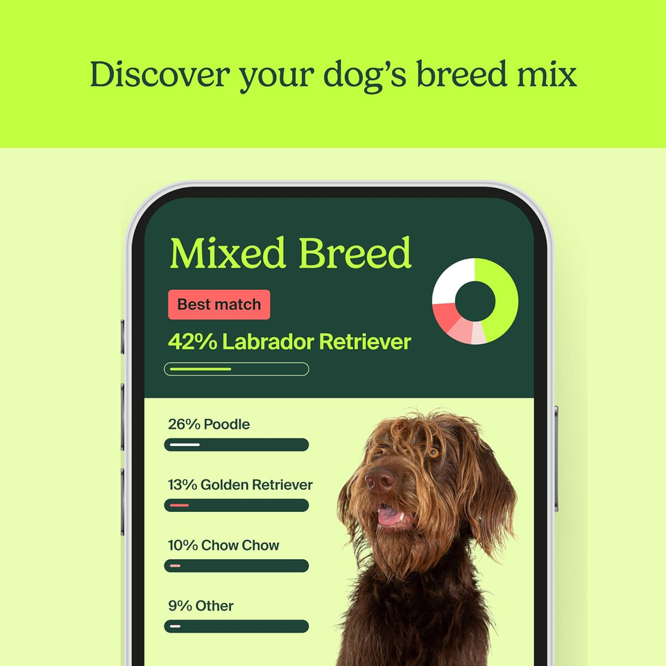 Know Your Pet DNA by Ancestry: Dog DNA Test Kit, Breeds, Traits, DNA ...