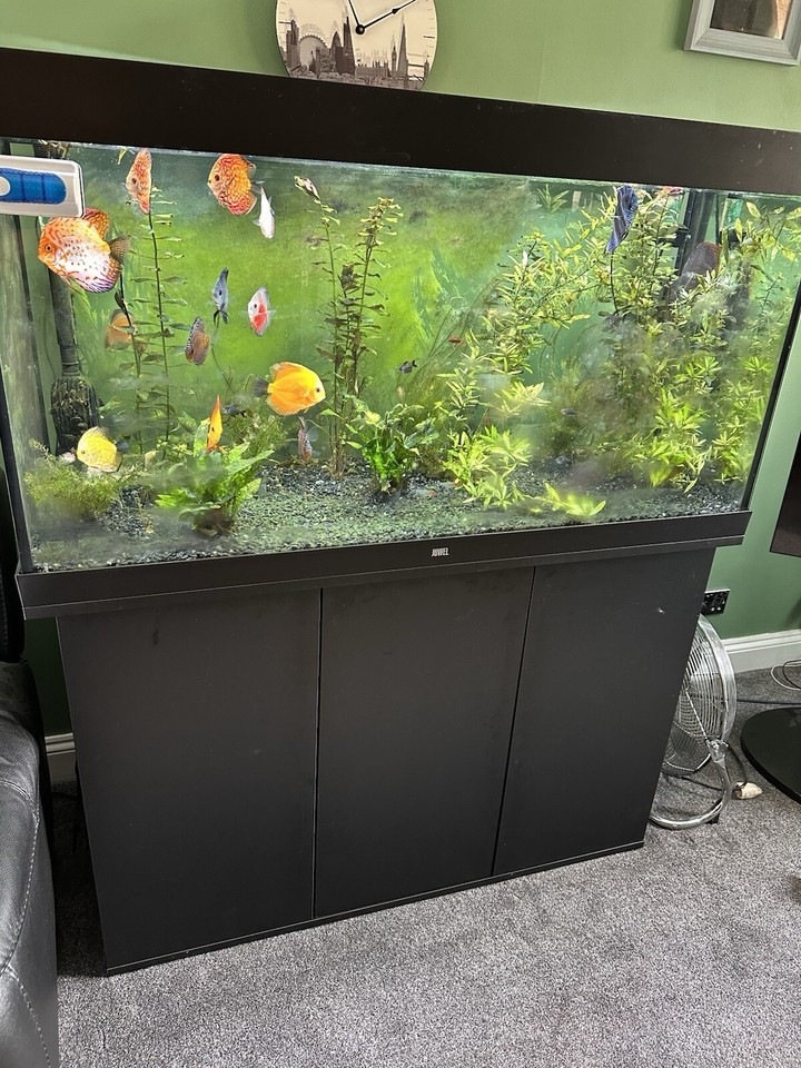 large aquarium fish tank used | eBay UK