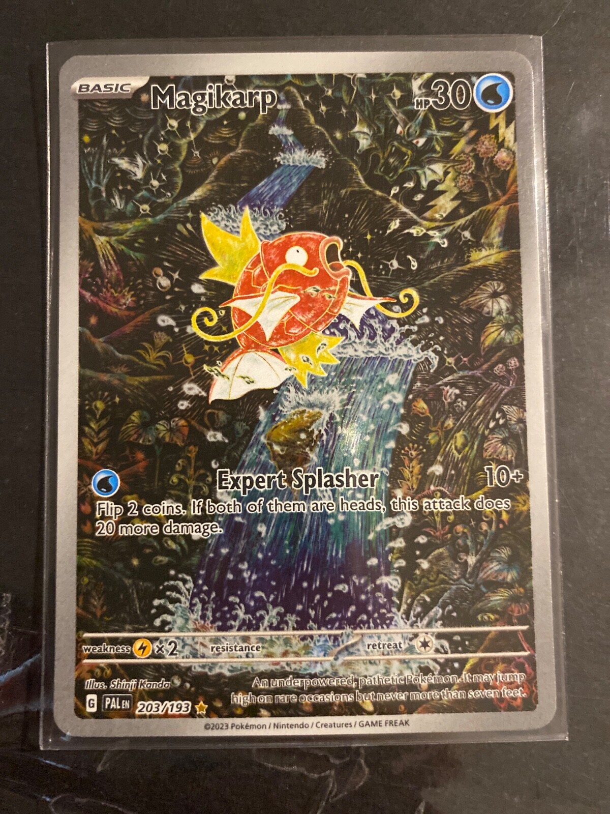 Magikarp 203 Current Market Value | Paldea Evolved