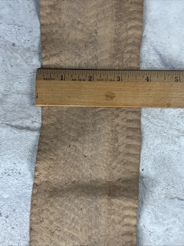 Snake Skin Hide Pelt Snakeskin 5 FEET Long GENUINE 60” | eBay