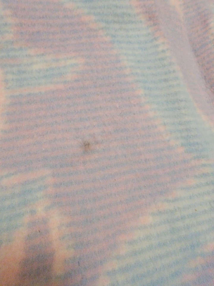 Vintage Bunny Esmond Baby Blanket With Tag | eBay