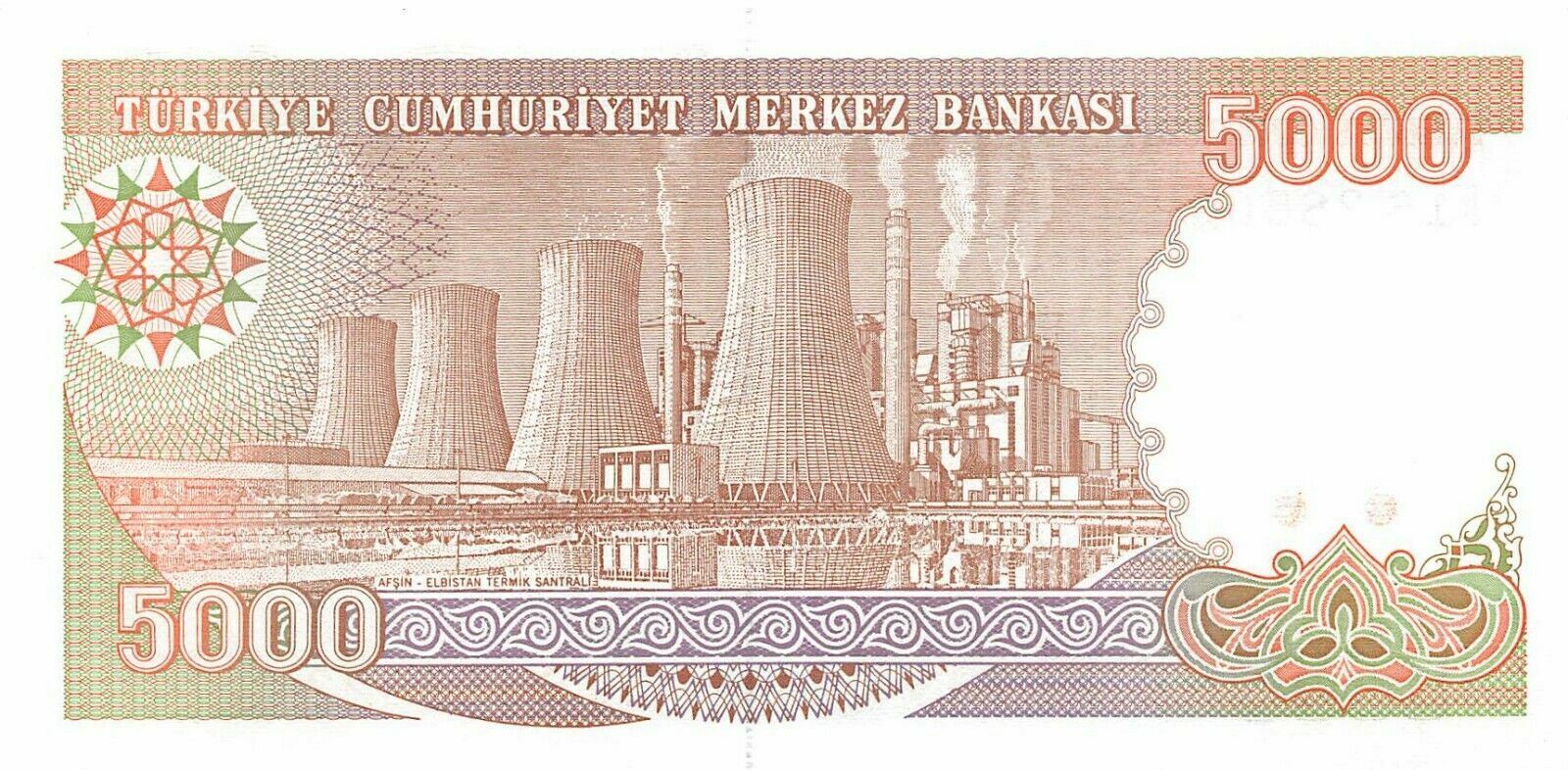 Turkey 5,000 Lira ND. 1992 P 198 Series I Uncirculated Banknote G4 | eBay