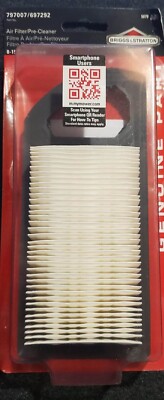 NEW Genuine Briggs & Stratton 5079 AIR FILTER/AIR CLEANER | eBay