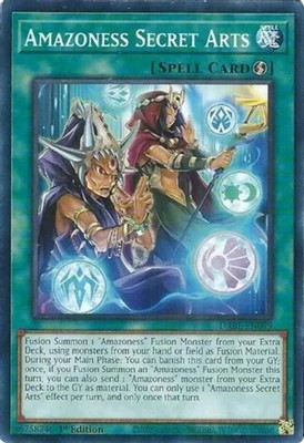 Amazoness Secret Arts - DABL-EN099 - Common - 1st Edition x1 - Near ...