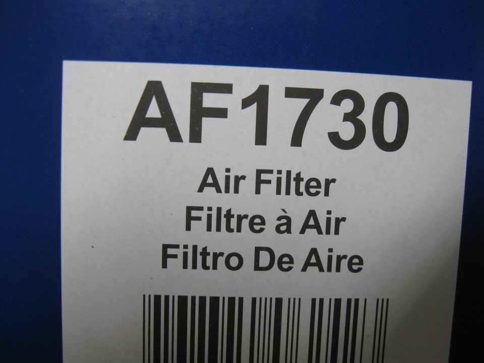 Hastings AF1730 Air Filter Replaces ACDELCO A3208C GM 23430312 BALDWIN ...