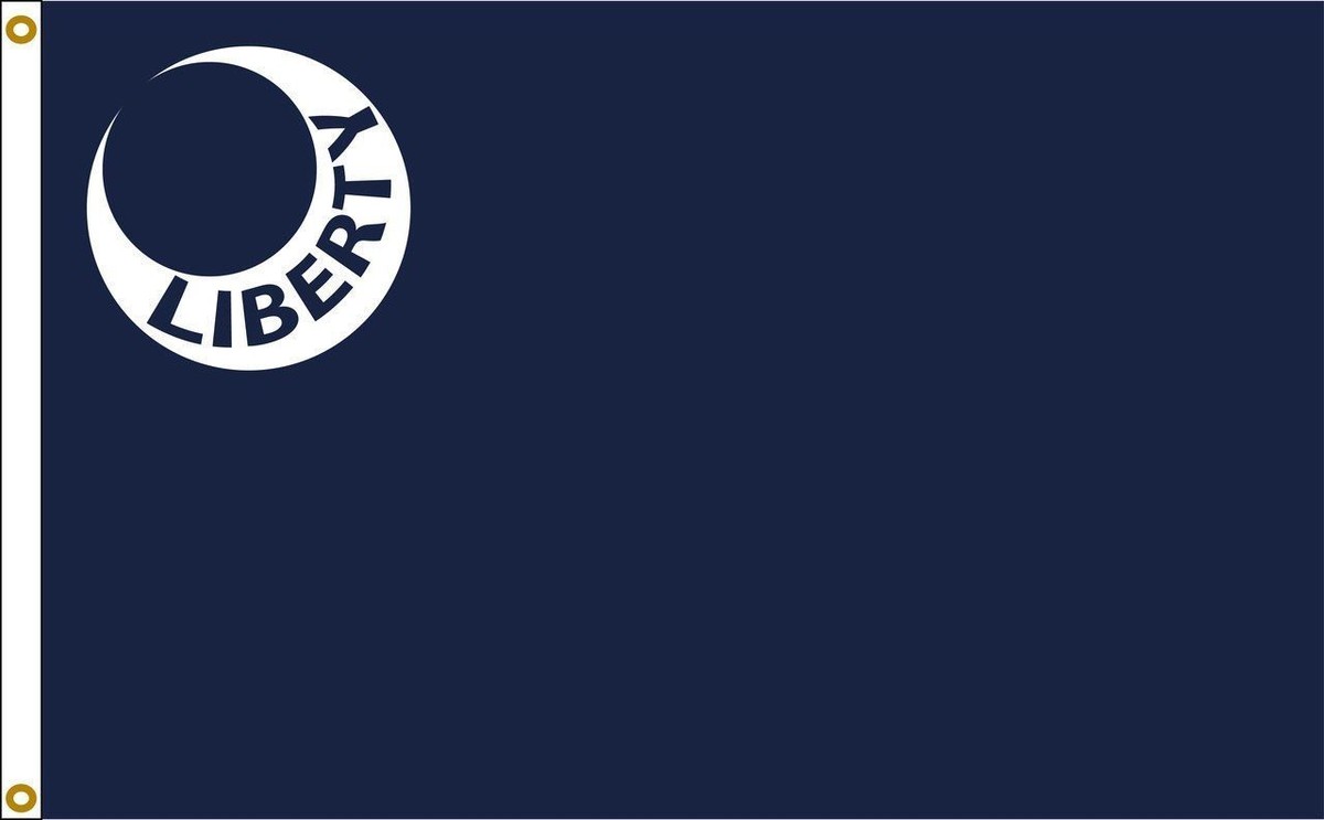 Civil War Sc Liberty Flag