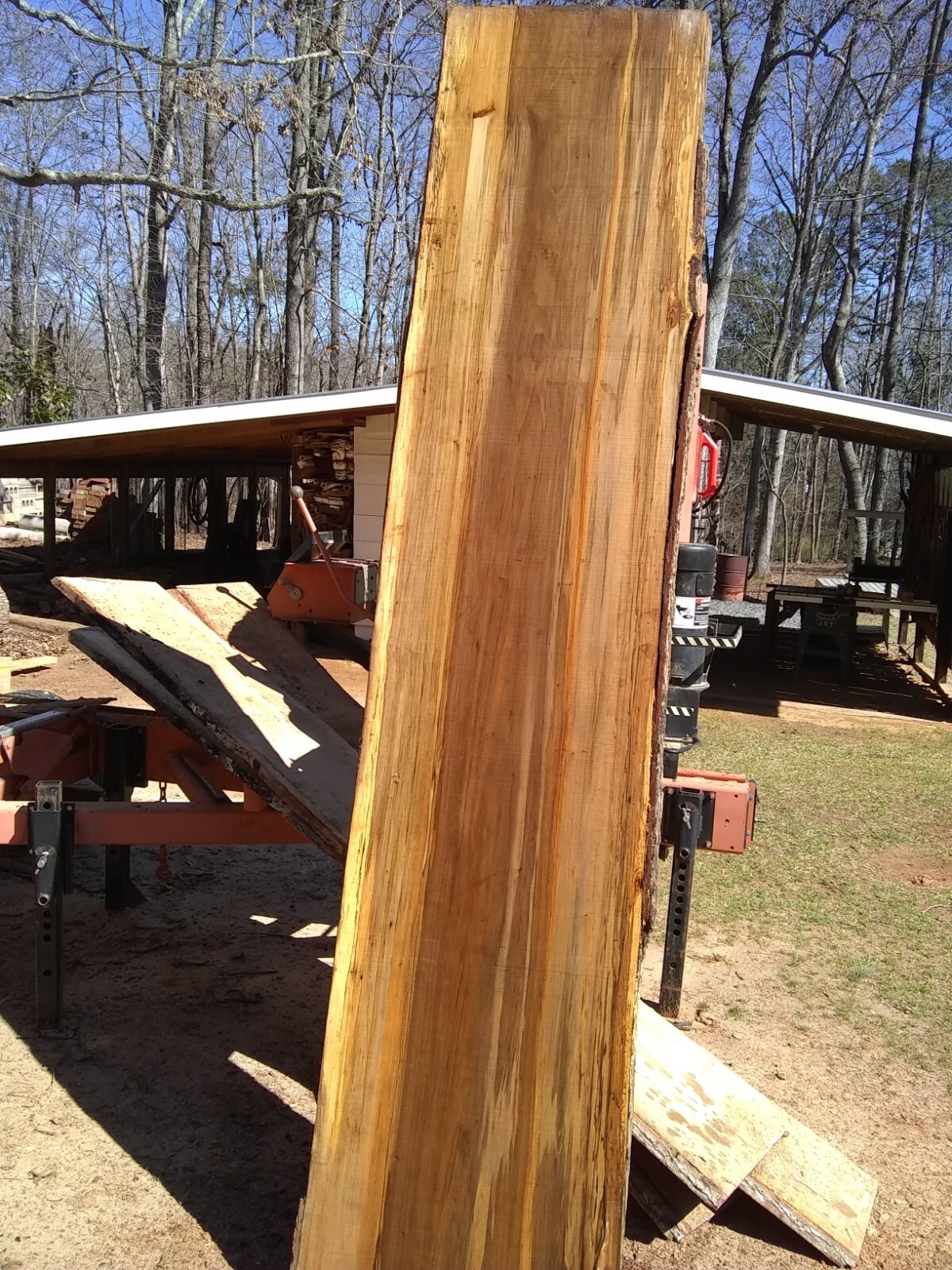 Sweet Gum Wood Rough Sawn 12/4 /SG/Table Slab/Lumber/Timber/Woodwork | eBay