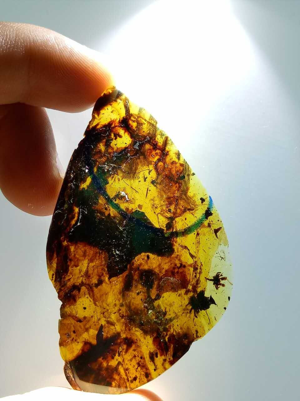 A101 BU880 Uber Rare NanoRaptor** in authentic Burmese amber Burmite ...