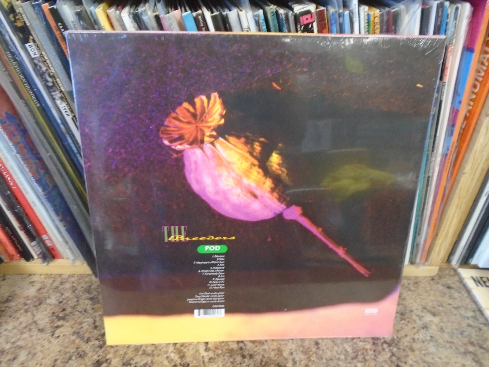 The Breeders Pod LP NEW vinyl [kim deal] Steve Albini Indie Rock ...