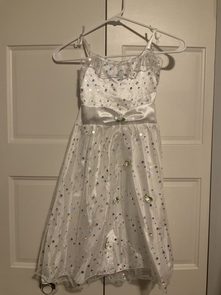 Little Girls Dress Up “Princess Dress” Size Large By Princess ...