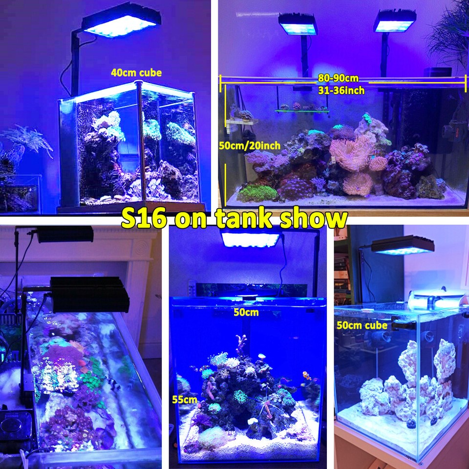 PopBloom Led Aquarium Lighting Fish Tank Lights for Marine Freshwater ...