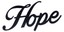 Hope Word Art Sign Home Kitchen Decor Wall Hanging Cursive Script ...