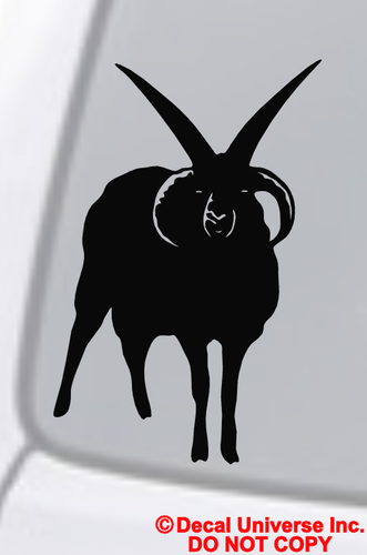 FOUR-HORNED JACOB SHEEP Vinyl Decal Sticker Window Wall Bumper Satan ...