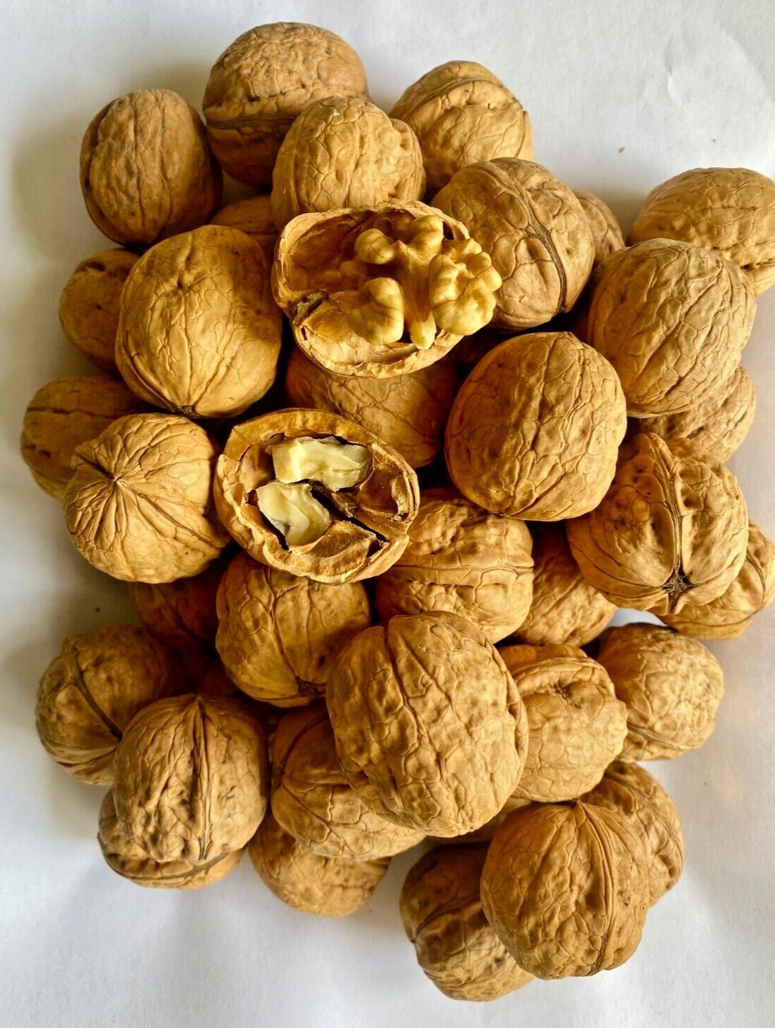 Australian Walnuts (NE Vic) in shell - 4 KG | eBay Australia