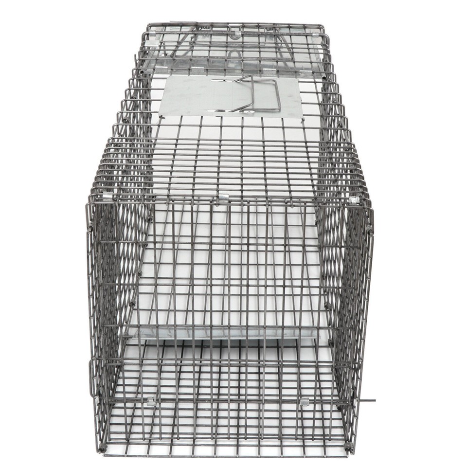 Large Animal Trap Spring Loaded 32x12x13" Easy to Bait & Release Fram ...