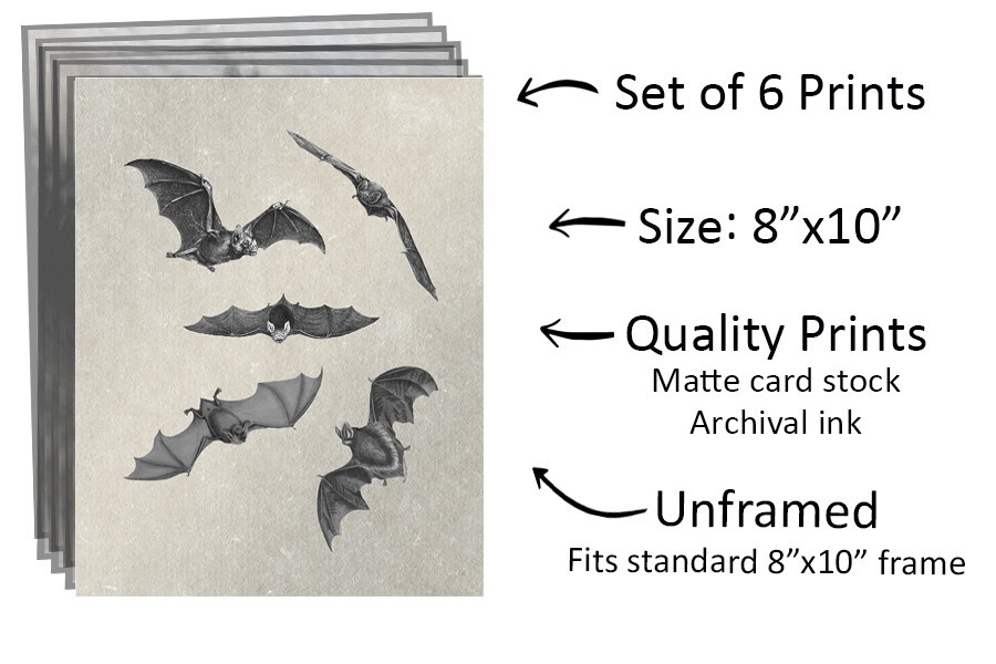 Gothic Wall Decor 6 (8x10) Bat Prints Whimsigothic Goth Gifts Pagan ...