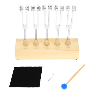 5Pcs Brain Tuner Tuning Fork Set for DNA Healing Chakra Sound Therapy ...