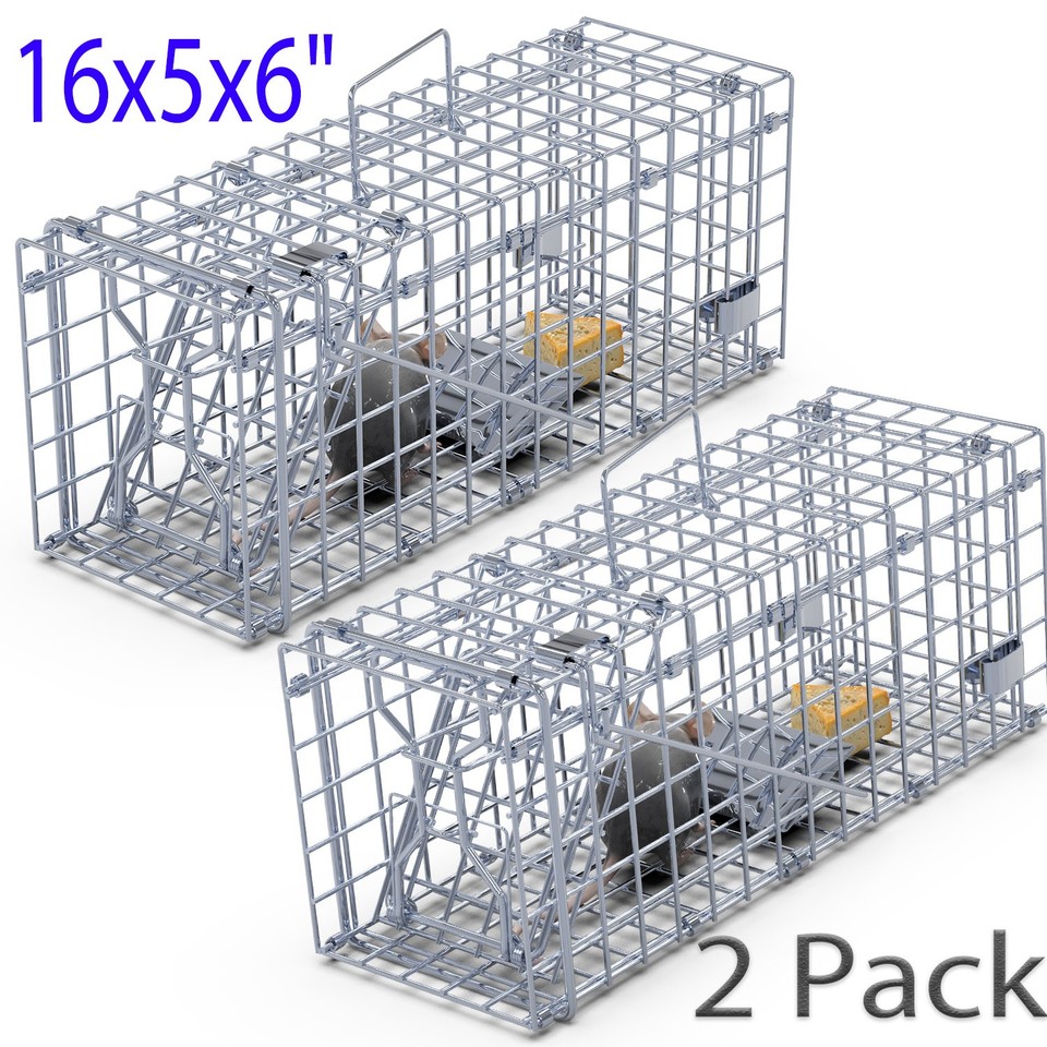 Humane Live Animal Trap Cage for Mouse Raccoons Rats Metal Traps Catch ...