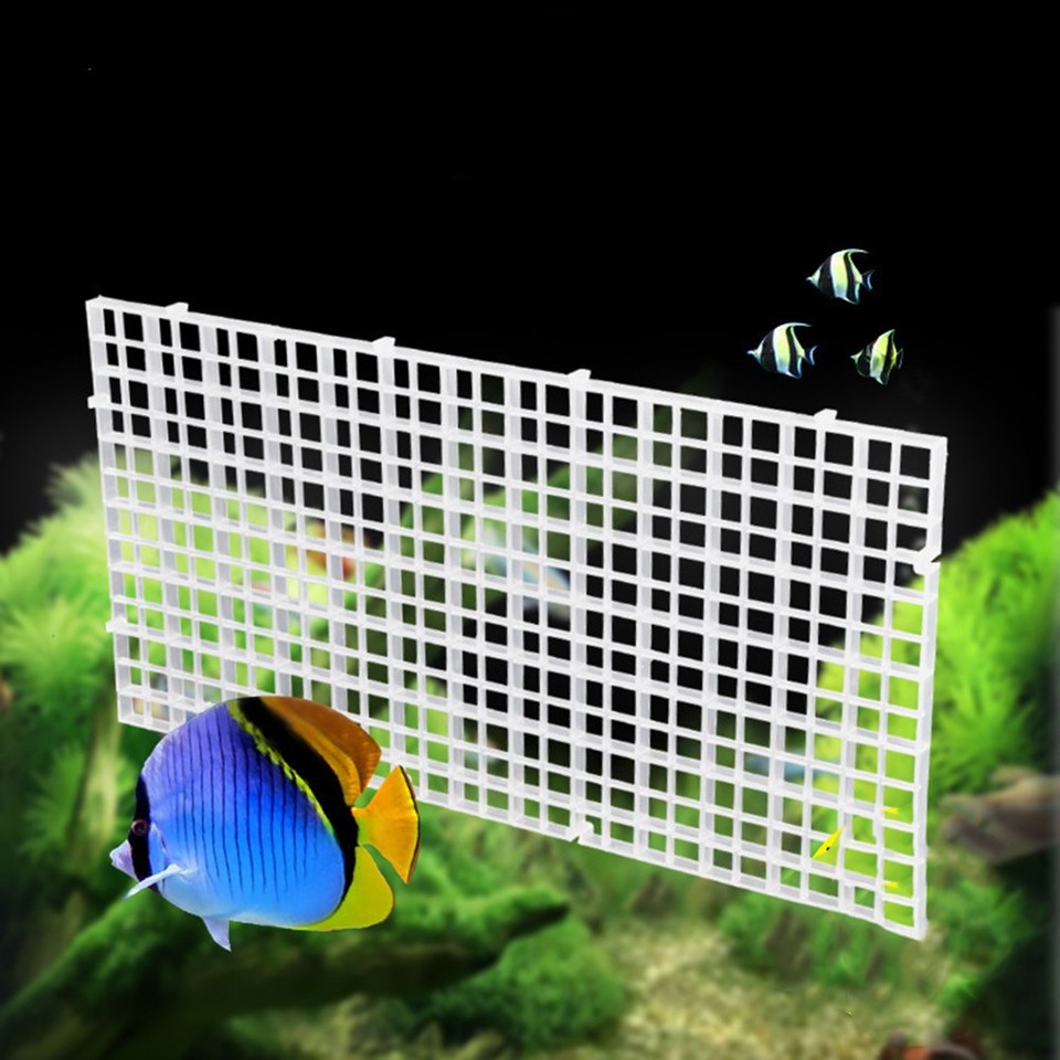 6 Pcs Aquarium Isolation Panel Lattice Plate Practical Fish Tank Filter ...
