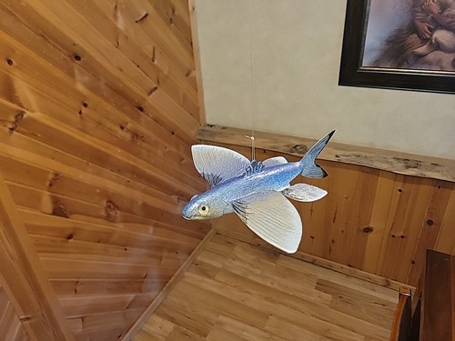 Casey Edwards Wood Carving Flying Fish Spearing Decoy Vintage Fish ...