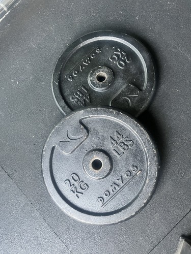 2 X 20kg cast iron weight plates | eBay UK