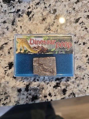 Dinosaur Poop Coprolite Fossil - sealed | eBay